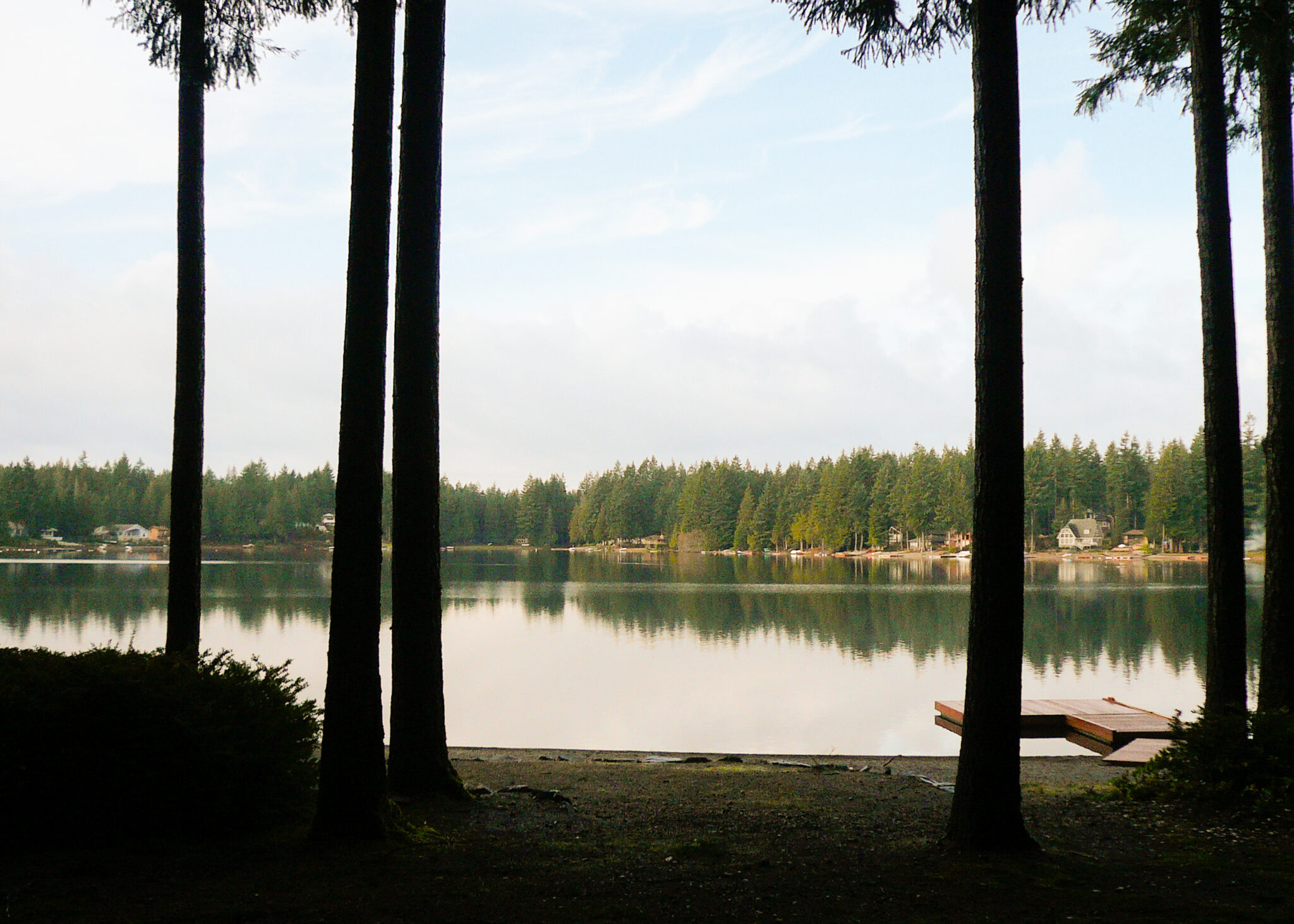 Limerick : rho architects